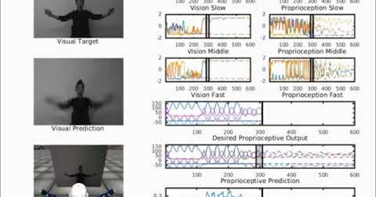 cnru Predicting future and reflecting past in terms of visuo-proprioceptive patterns | Okinawa ...