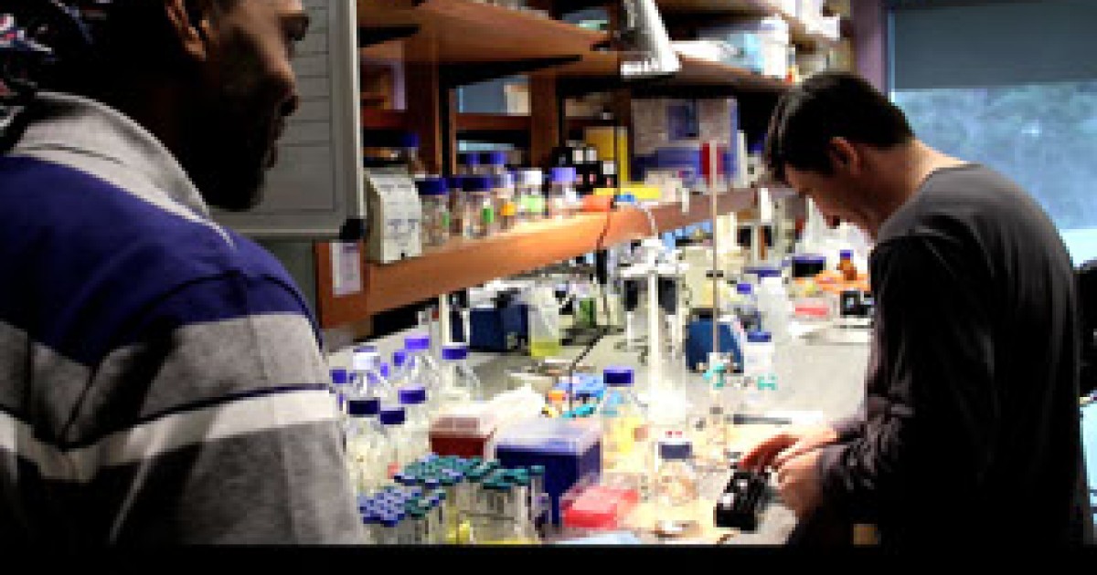 2011-promo-still_ja-sub_w320.jpg | Okinawa Institute of Science and ...