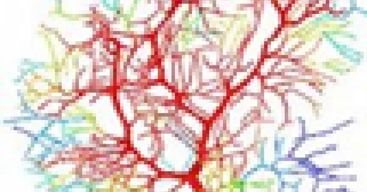 color-neuron.png | Okinawa Institute of Science and Technology OIST