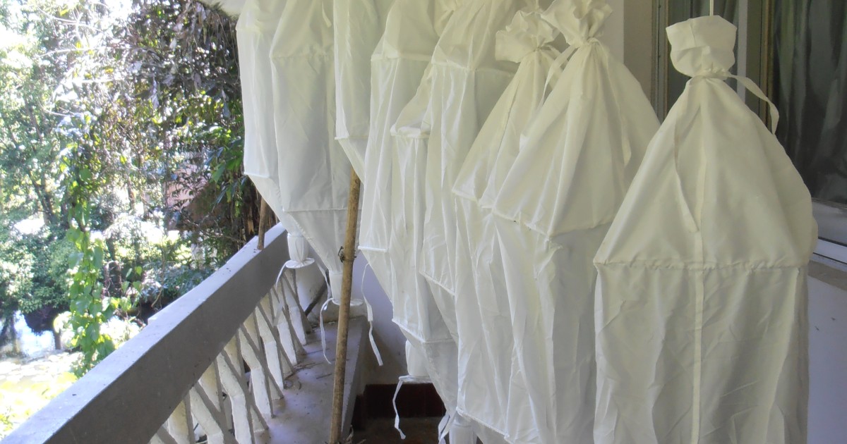 Winkler Bags | Okinawa Institute of Science and Technology OIST