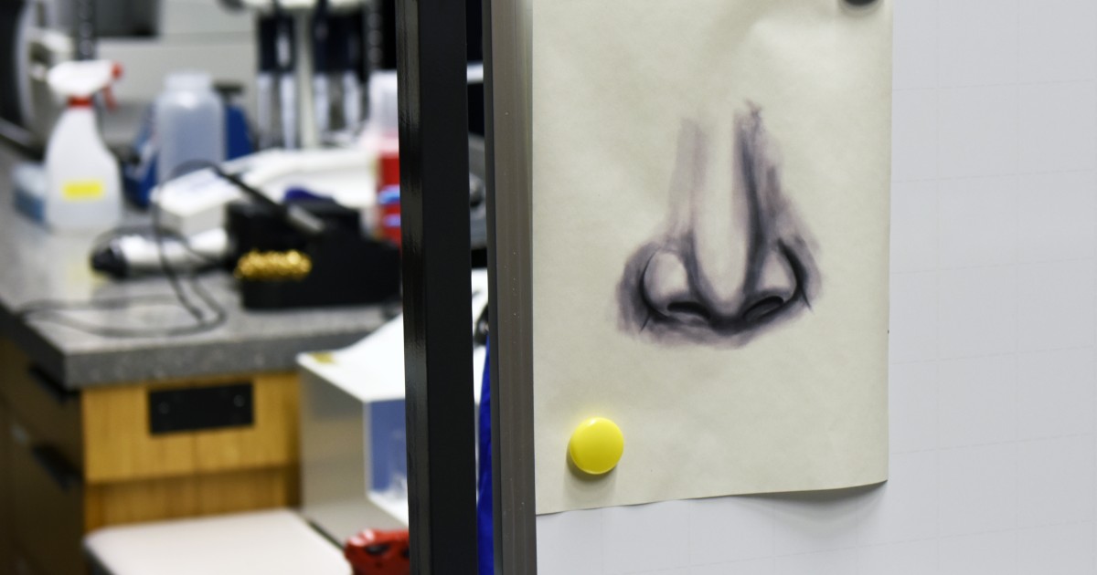 Nose | Okinawa Institute of Science and Technology OIST