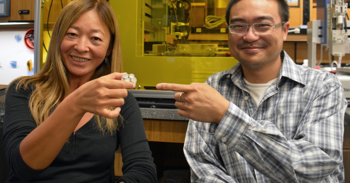 Prof Amy Shen (left), and PhD student Hsieh-Fu Tsai (right) showing the ...