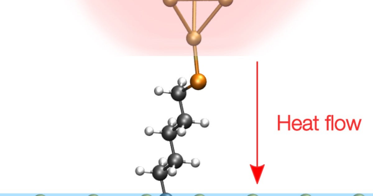 Heat flow through a single-molecule junction | Okinawa Institute of ...