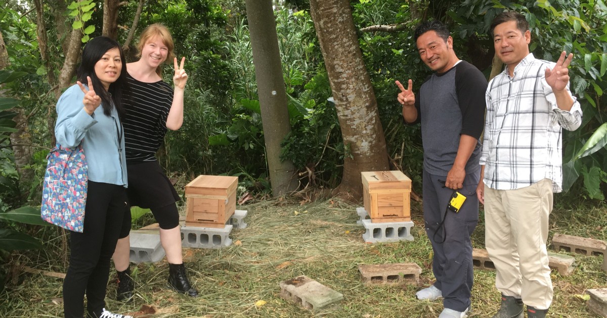 The bee team | Okinawa Institute of Science and Technology OIST