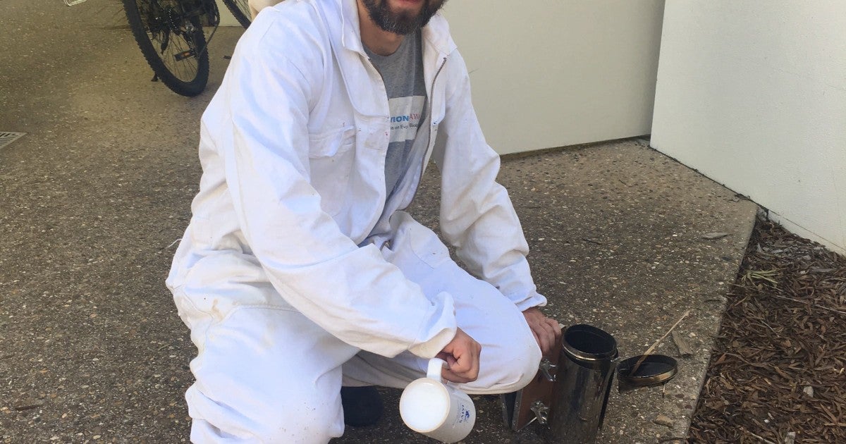 Alexander Mikheyev with bees | Okinawa Institute of Science and ...