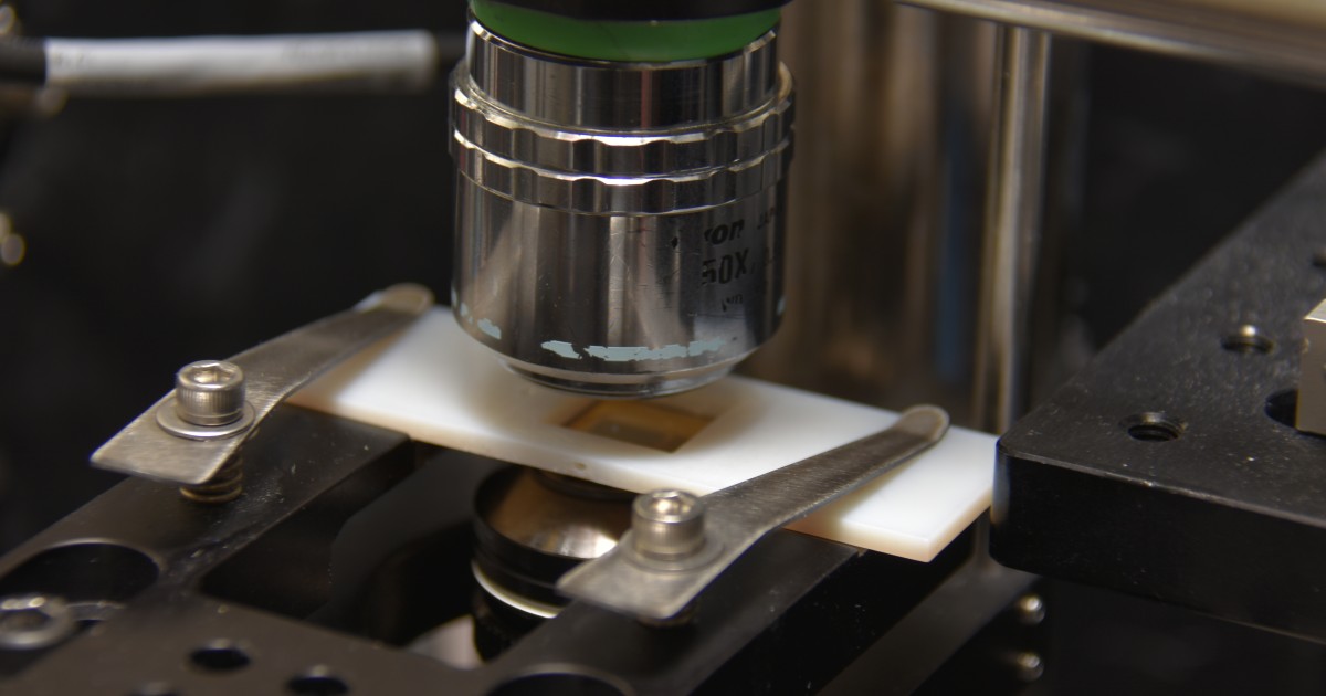 Trapping process | Okinawa Institute of Science and Technology OIST