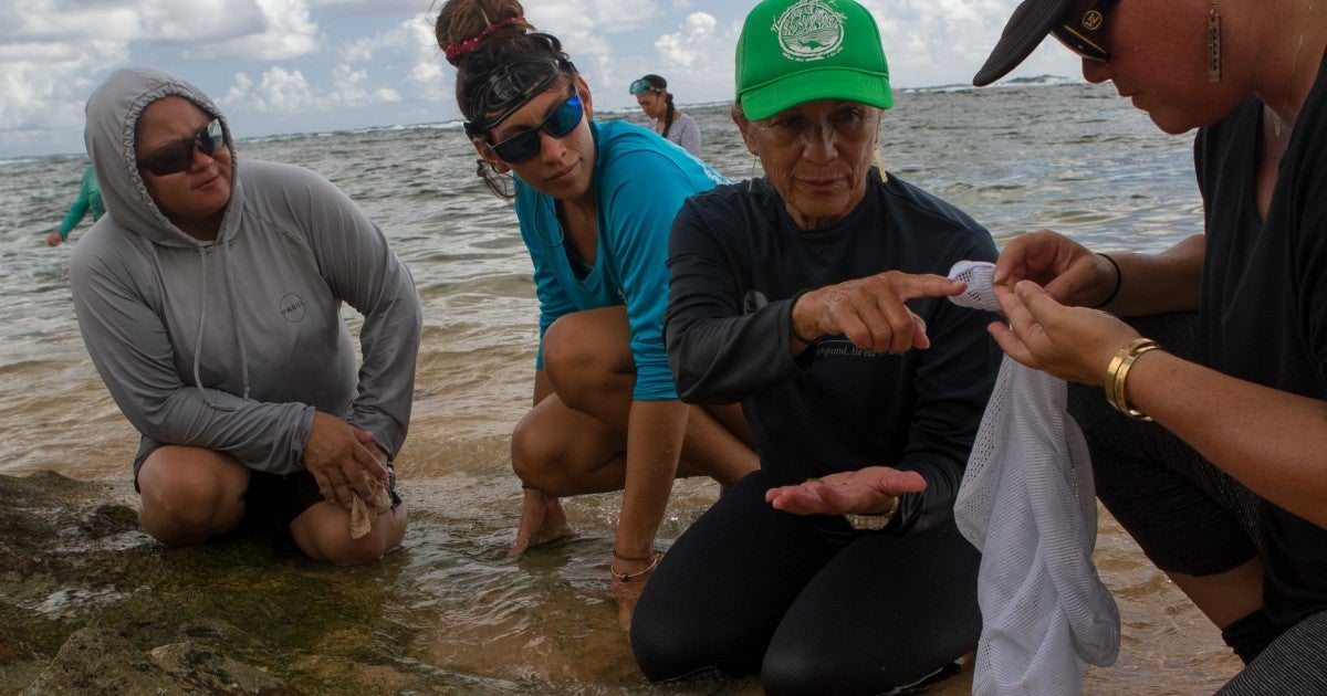 Activities of KUA’s Limu Hui | Okinawa Institute of Science and ...