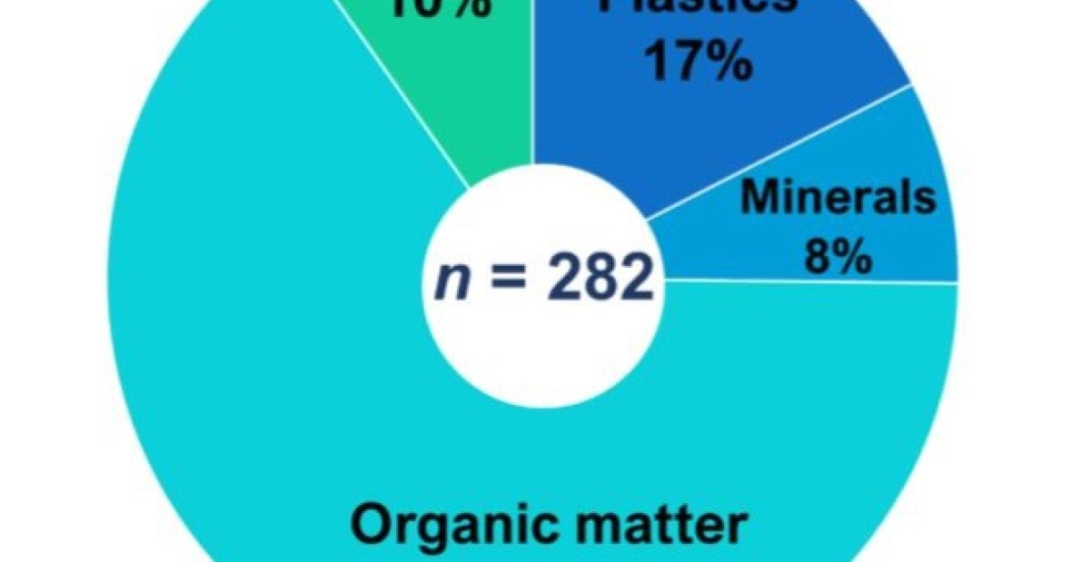 Percentage composition of all particles | Okinawa Institute of Science ...