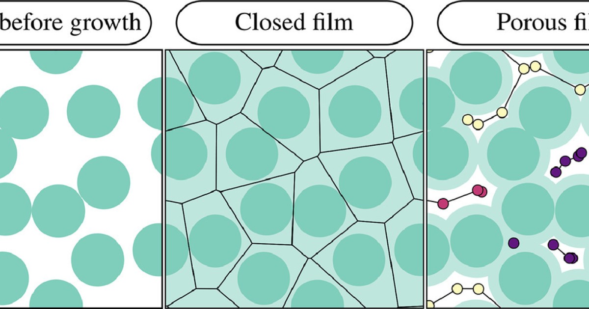 A schematic of the simulation models | Okinawa Institute of Science and Technology OIST