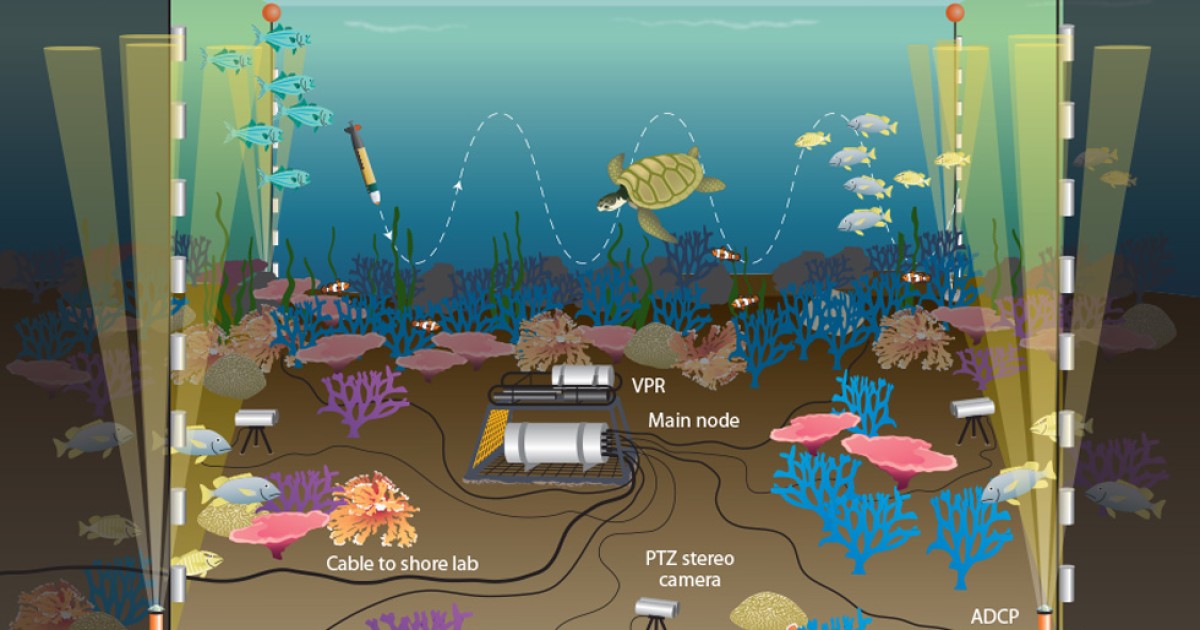Illustration of the Ocean Cube Observatory System | Okinawa Institute ...