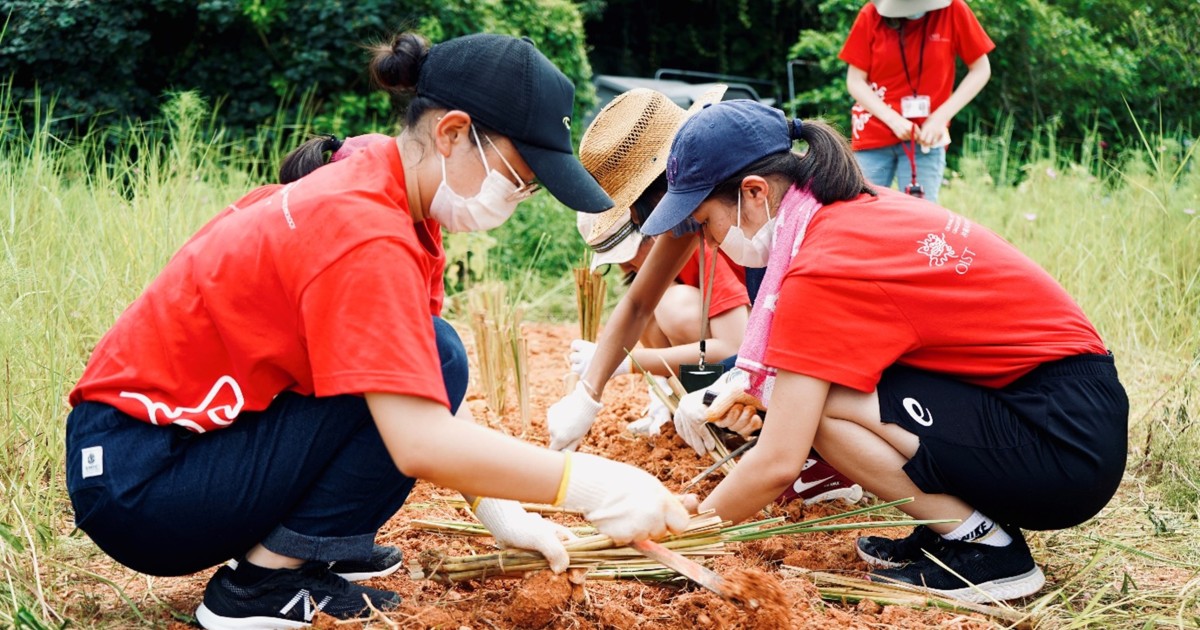 SHIMA: Field work to learn about measures to prevent red soil runoff ...