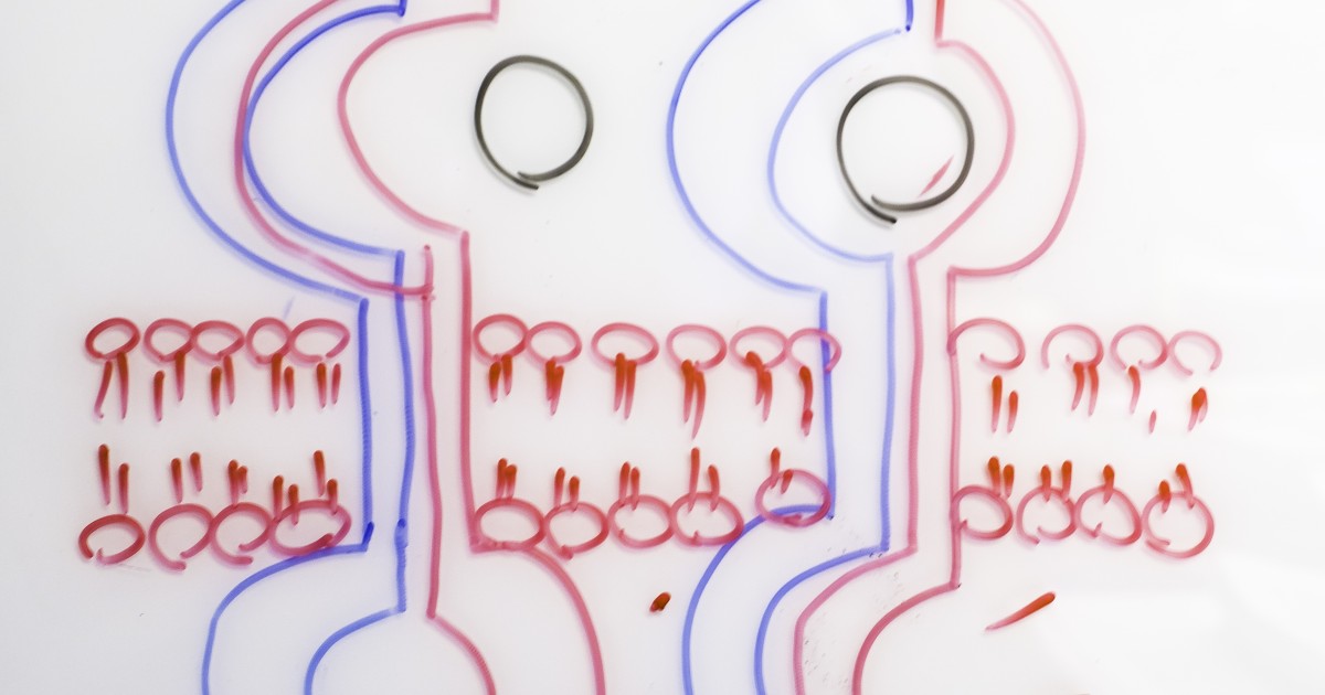 The “rotation model” sketch | Okinawa Institute of Science and ...