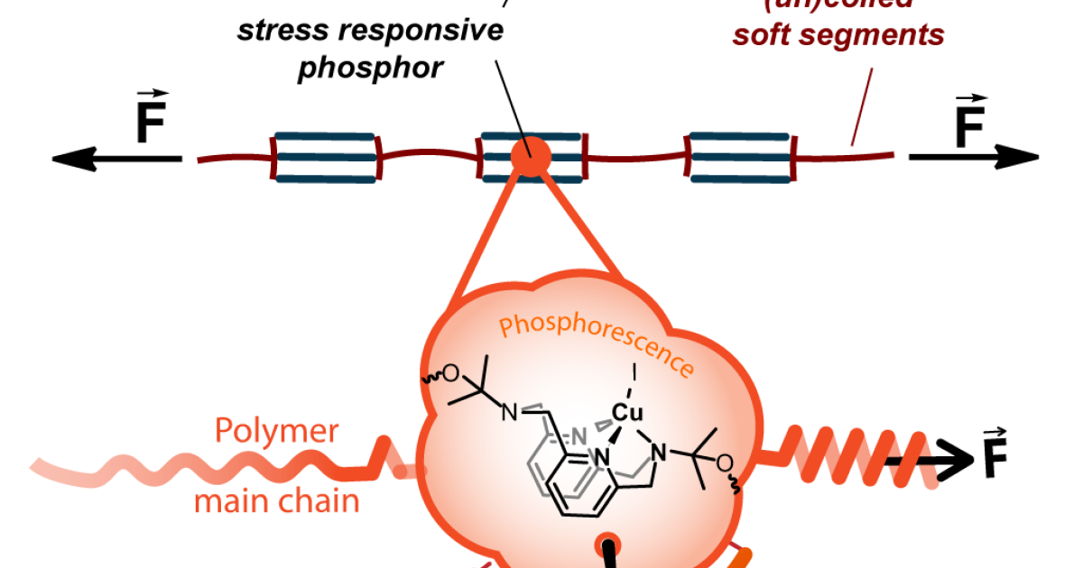 Incorporation of the mechanophore into the polyurethane polymer ...