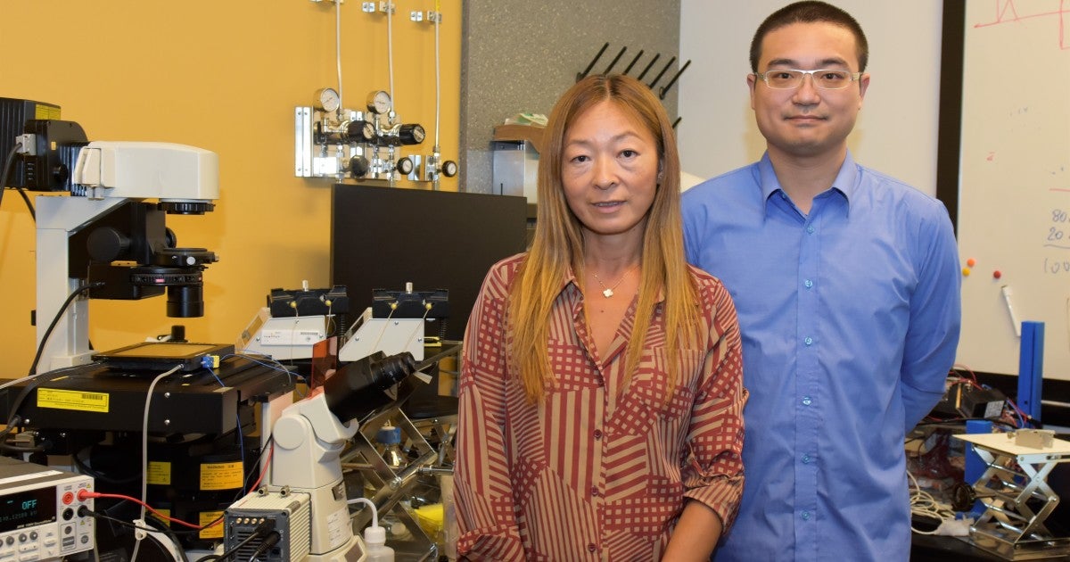 Prof. Amy Shen and Graduate Student Hsieh-Fu Tsai | Okinawa Institute ...