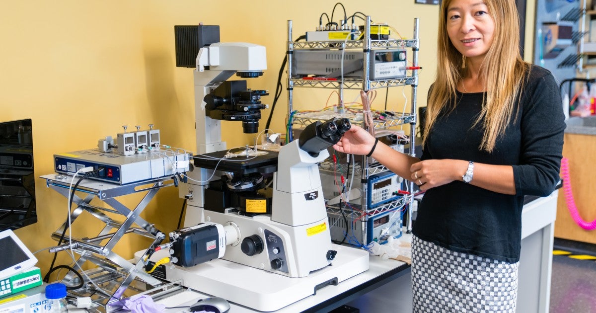 Prof. Amy Shen in a Lab | Okinawa Institute of Science and Technology OIST