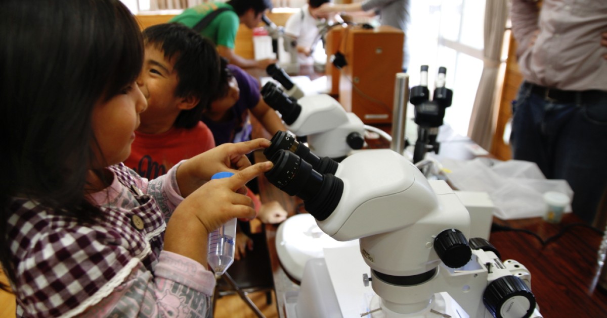 A future scientist? | Okinawa Institute of Science and Technology Graduate University OIST