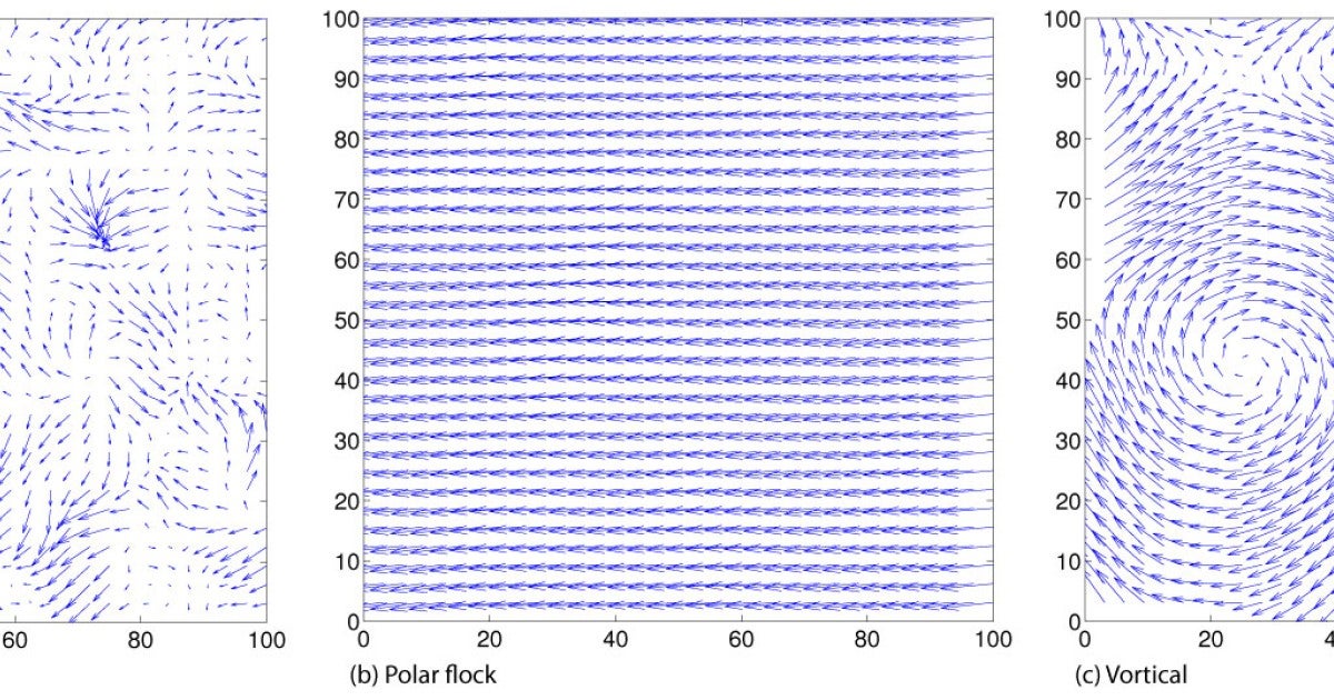 Three flow pattern phases | Okinawa Institute of Science and Technology ...
