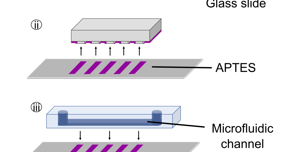 Microcontact printing process | Okinawa Institute of Science and ...